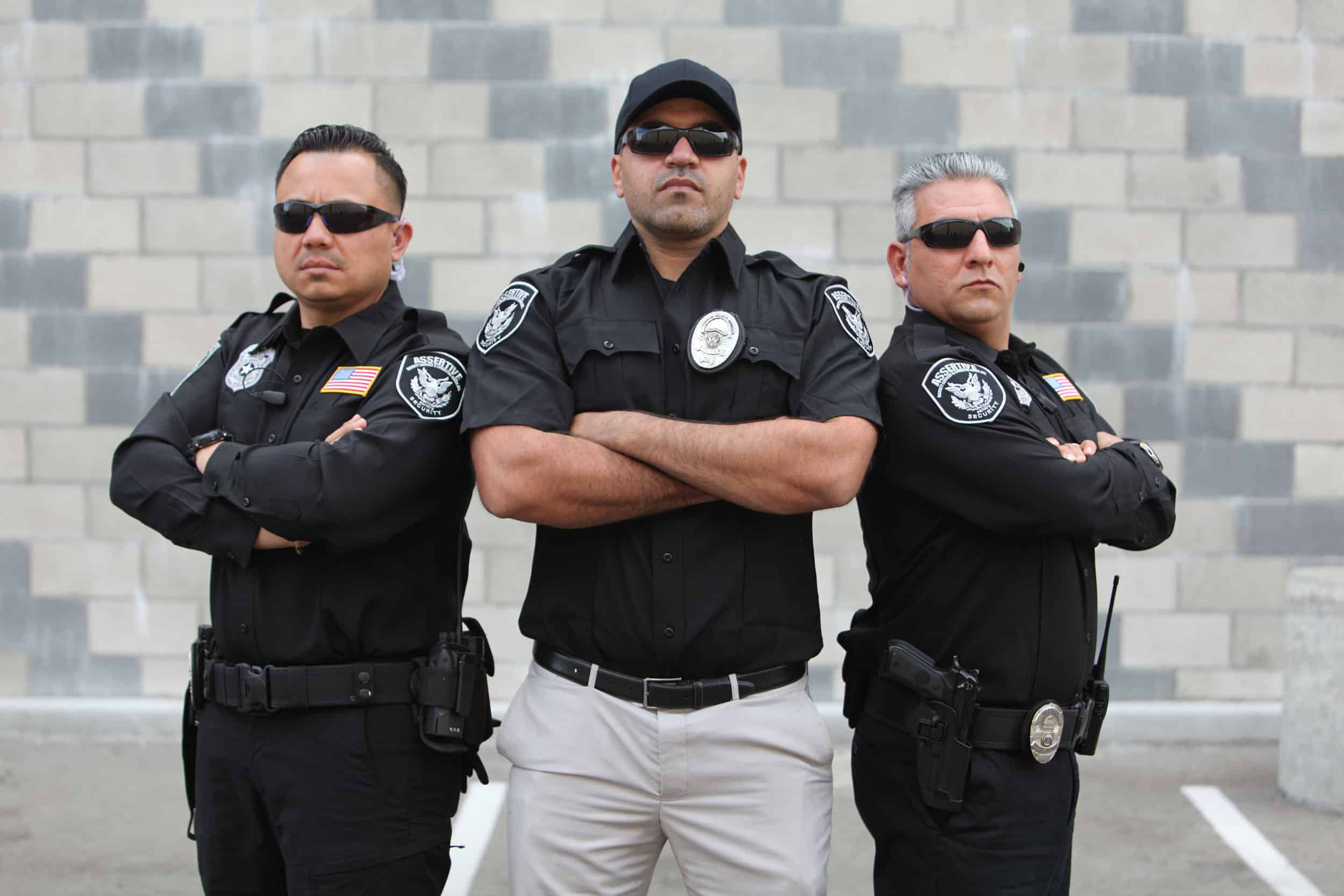 Assertive Security Services | California Security | Security Explorer